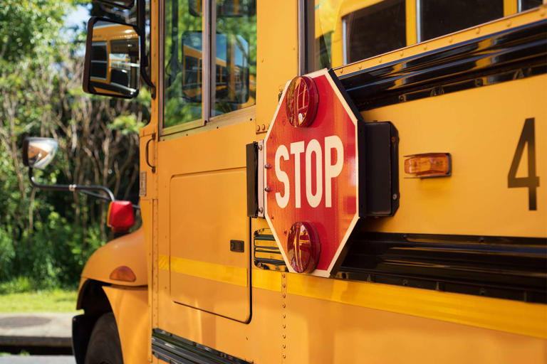 School bus driver charged with kidnapping children after allegedly ...