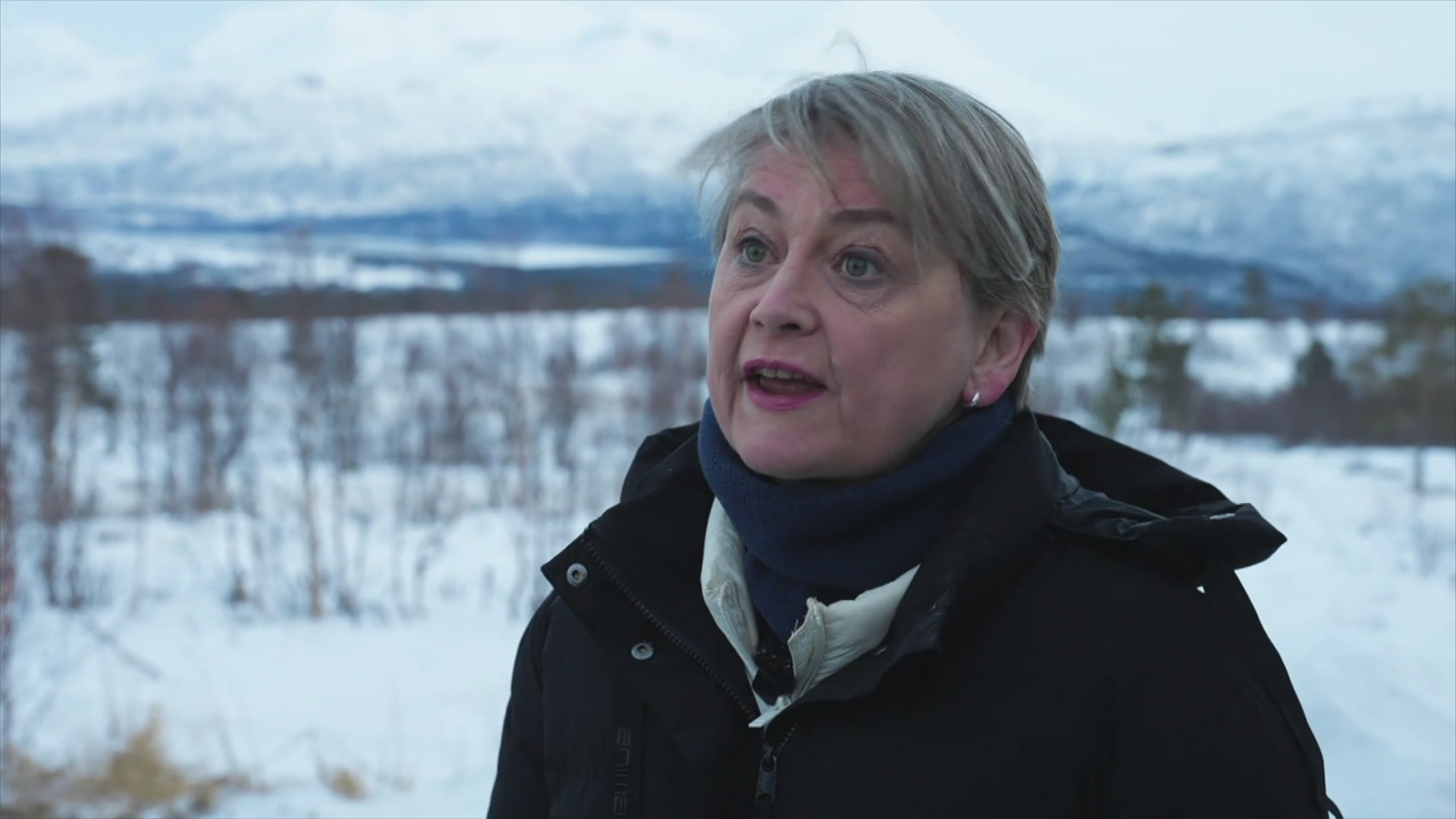 Foreign secretary stresses importance of Arctic security