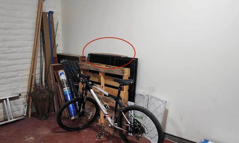 Can you spot the rattlesnake relocated from Arizona garage?