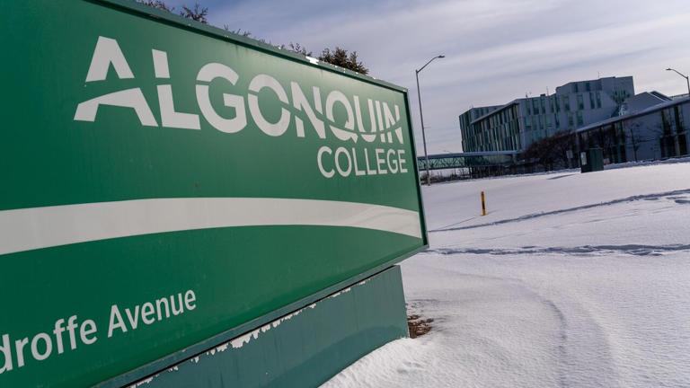 Algonquin College CEO urges province to fix 'broken' post-secondary ...