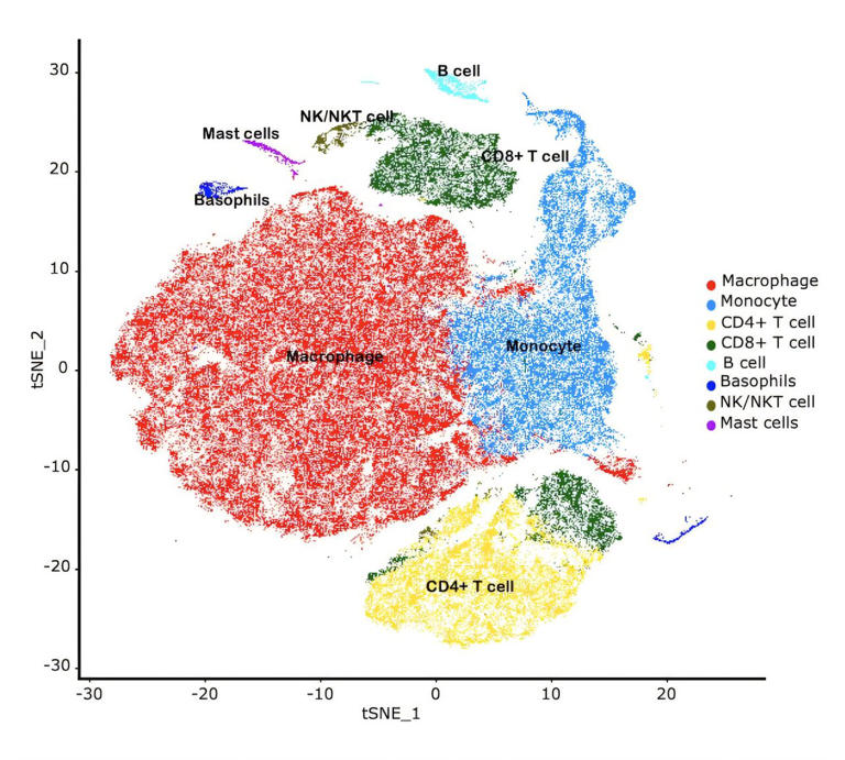 Standard TB and HIV treatments leave lung immune system impaired, study ...