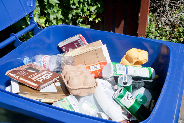 Claims of £400 fine under new household bin recycling rules labelled ...