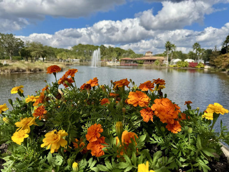 Why planning a trip might be the best antidote to winter’s emotional slump