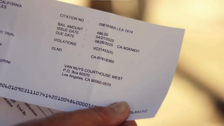 The Hidden Fees Inside California Traffic Tickets That Most Drivers ...