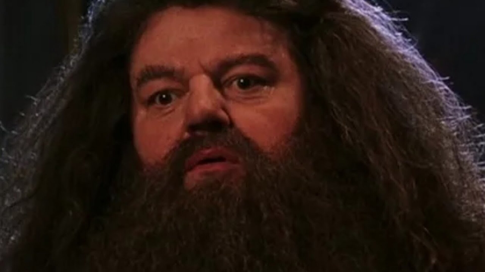 Harry Potter stars who left us too early