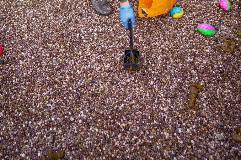 Dad earns £24k a year with 12-hour-a-week dog poo side hustle