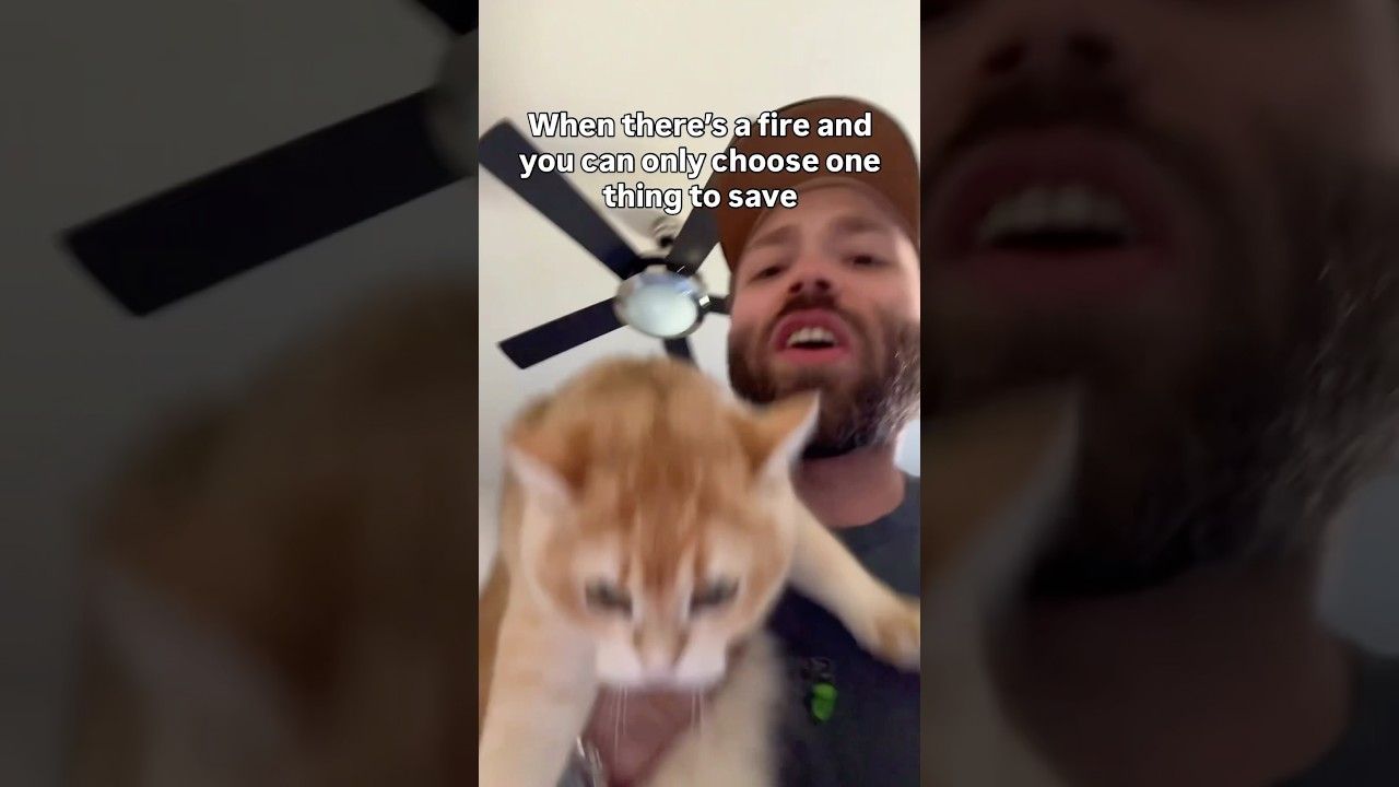 If there's a fire, I'm saving my cat
