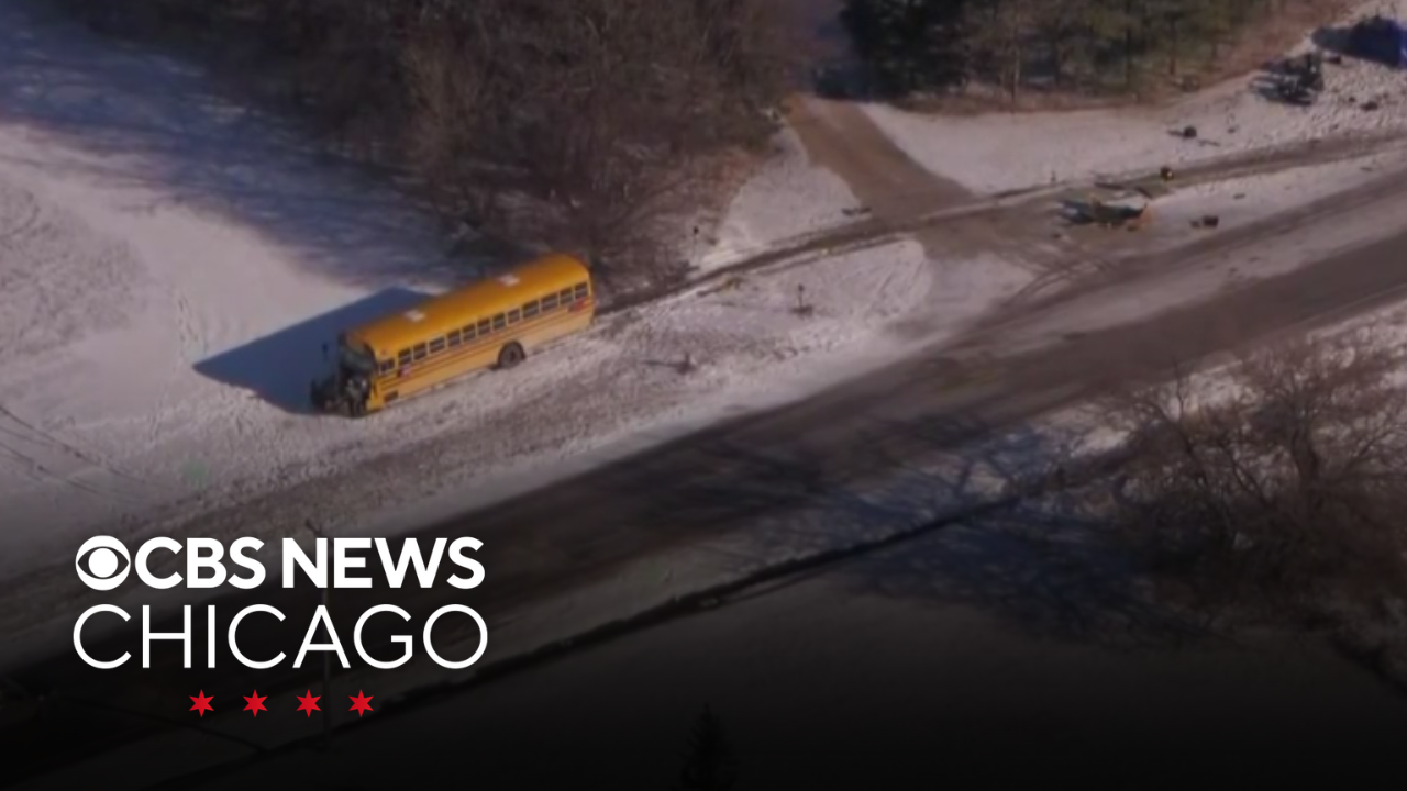 1 driver killed, 10 kids go to hospital when car, school bus collide ...