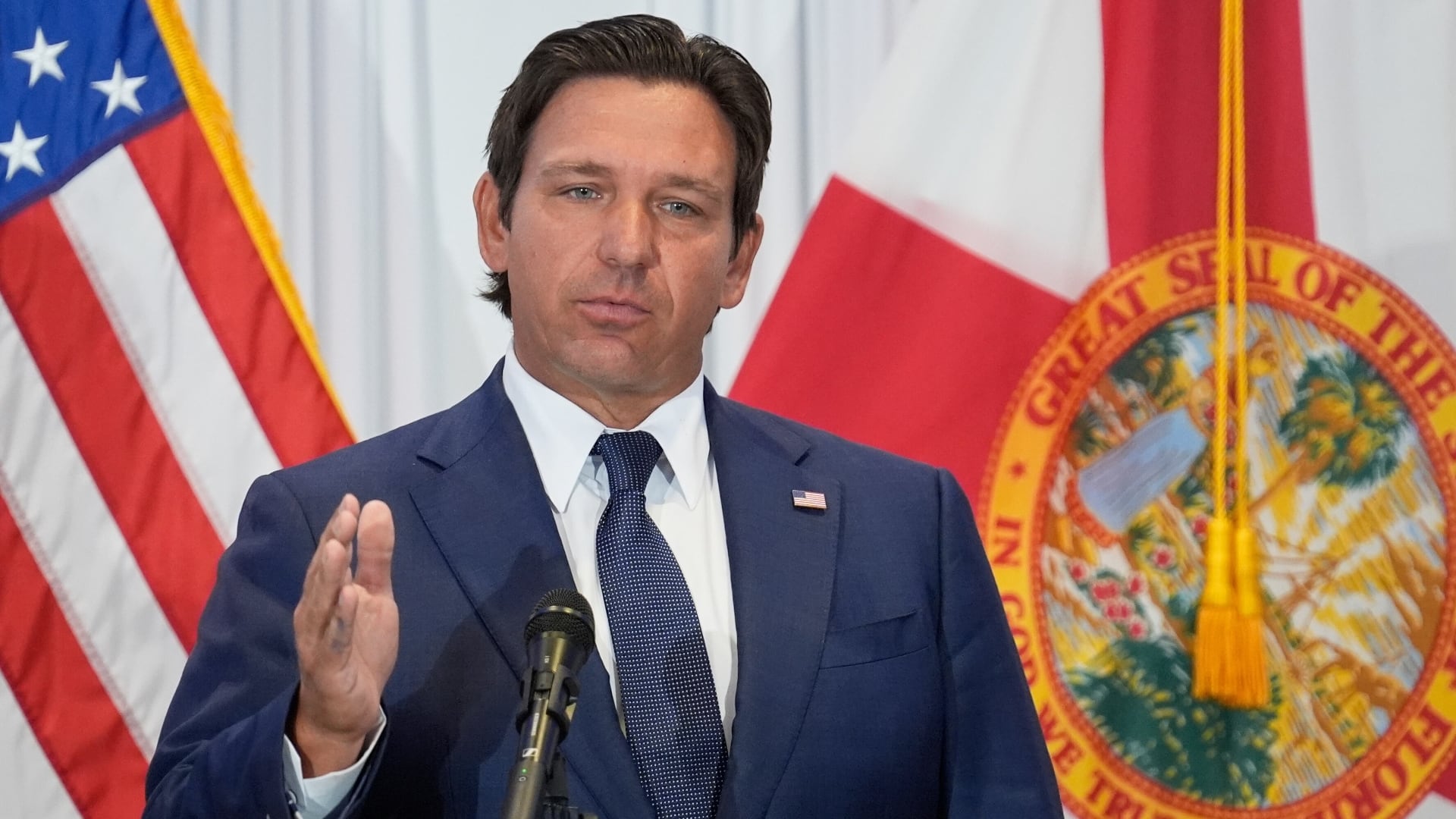 DeSantis calls for lower property taxes, ending perks for ‘snowbirds ...