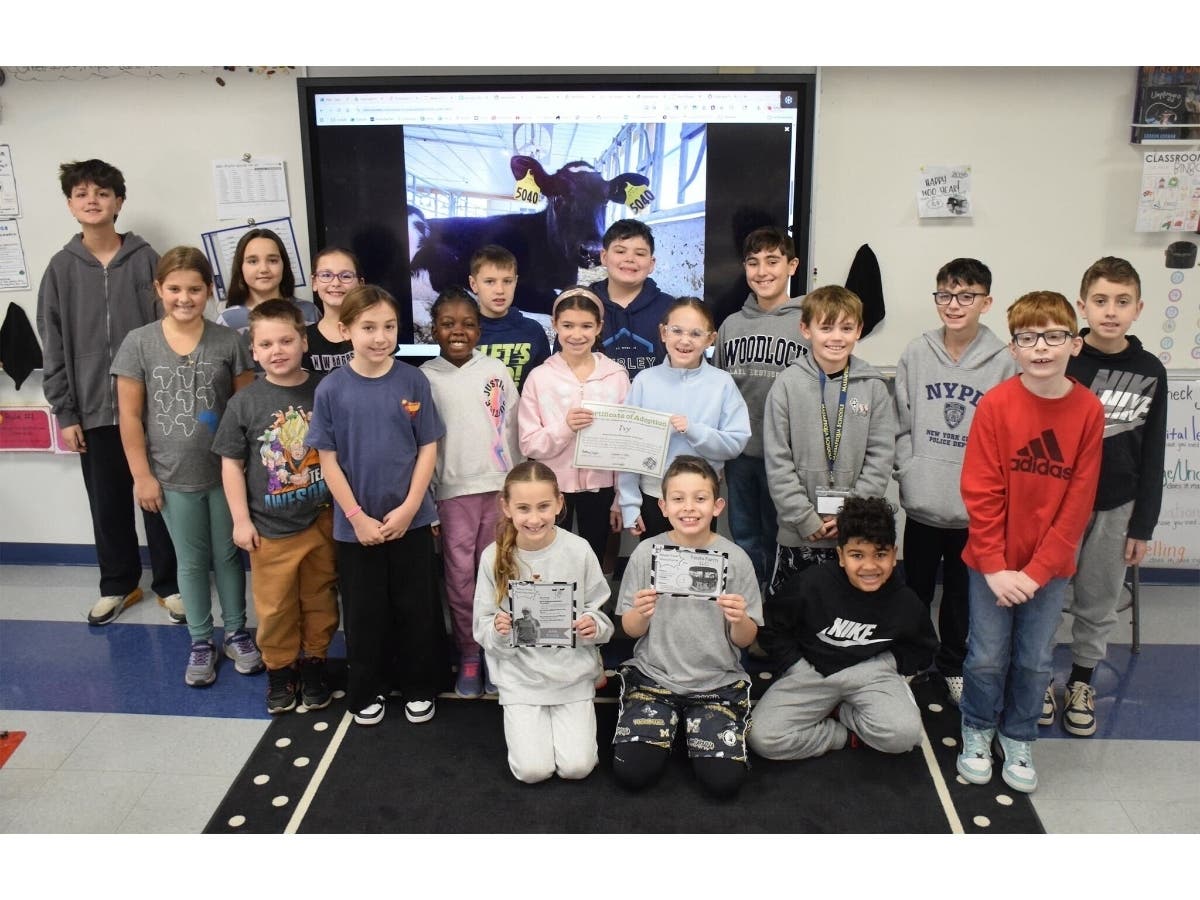 Moo-ve on up: Massapequa elementary schoolers adopt dairy cow