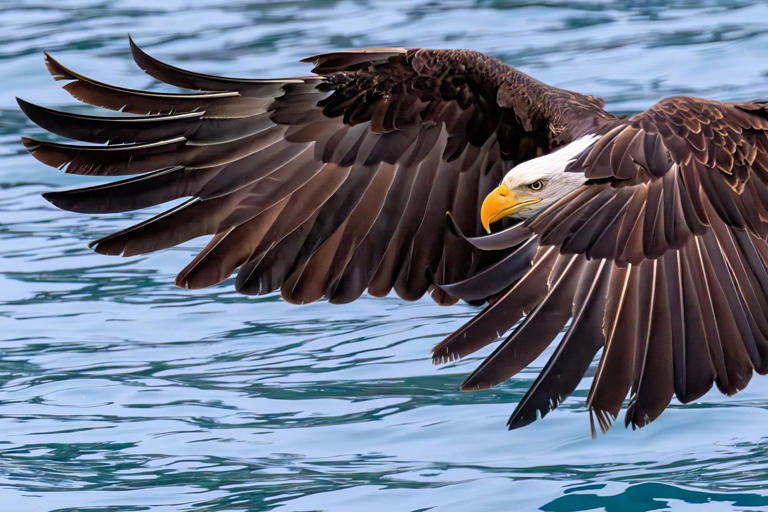 Bognor camera club compete in international photography contest