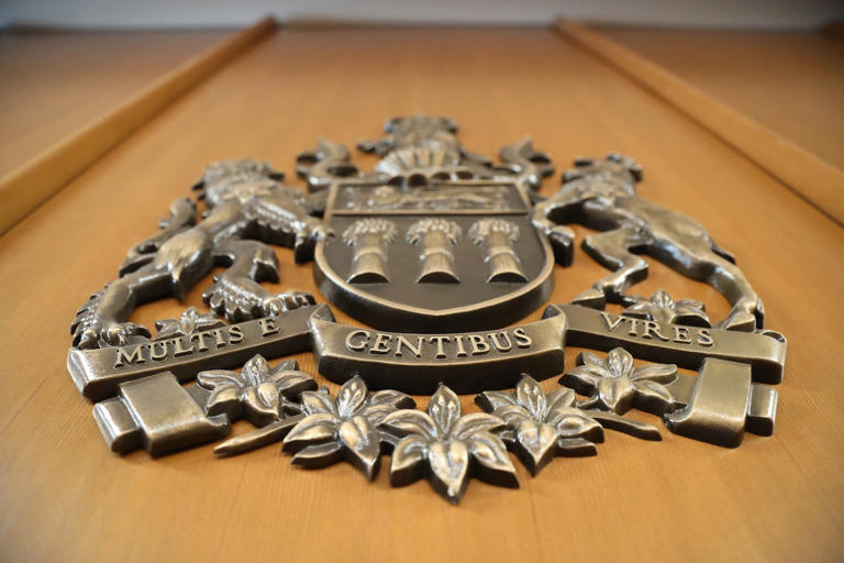 Woman at centre of Chinese family's immigration nightmare now facing ...