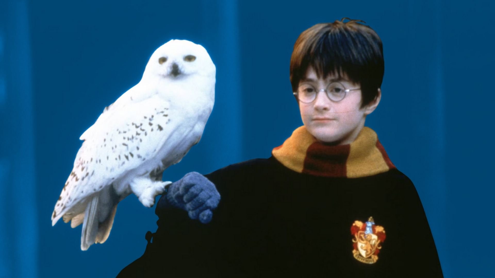„Harry Potter“ zum Sparpreis: Amazon verkauft ikonisches Lego-Set von ...