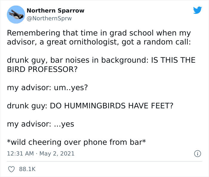 25 random feel-good posts shared by the “Delightful News” Instagram page