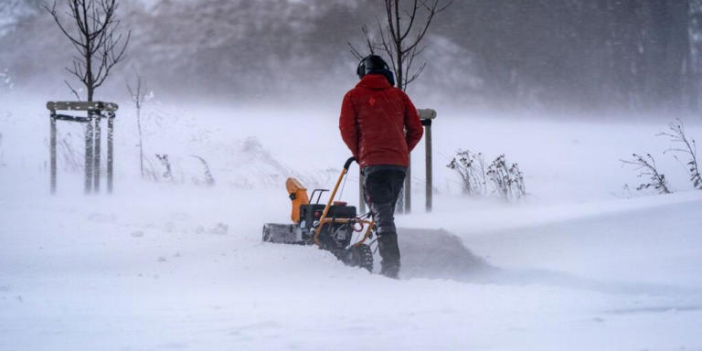Det är en lag från 1868 som ger dig ryggskott