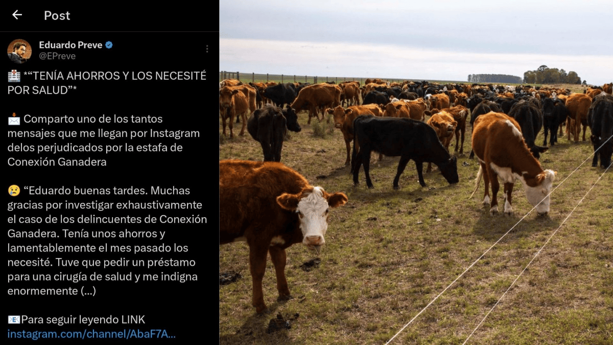 Conexión Ganadera: "Tenía unos ahorros y los necesité por salúd"