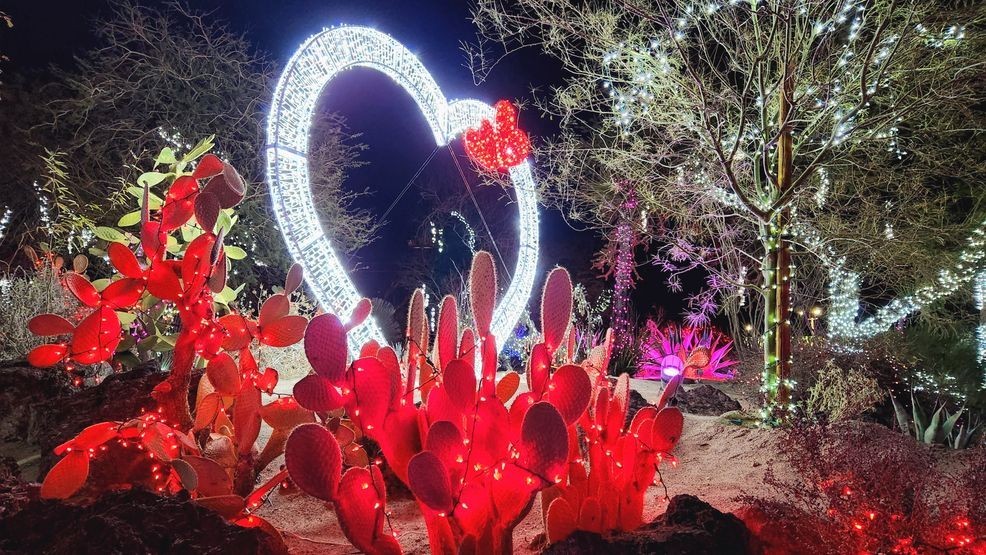 'Lights of Love' display set to return to Ethel M Cactus Garden for ...
