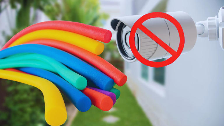 Some homeowners say a $1 pool noodle works better than expected for ...