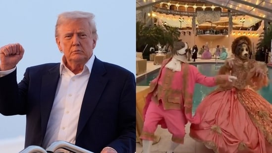 Trump's Mar-a-Lago hosts eerie 'furry party', pics viral; Governor ...