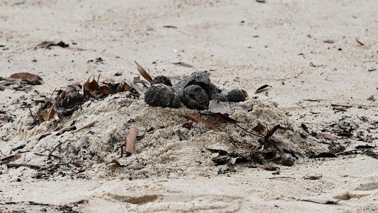 Beach 'poo balls' prompt $3b sewage network overhaul