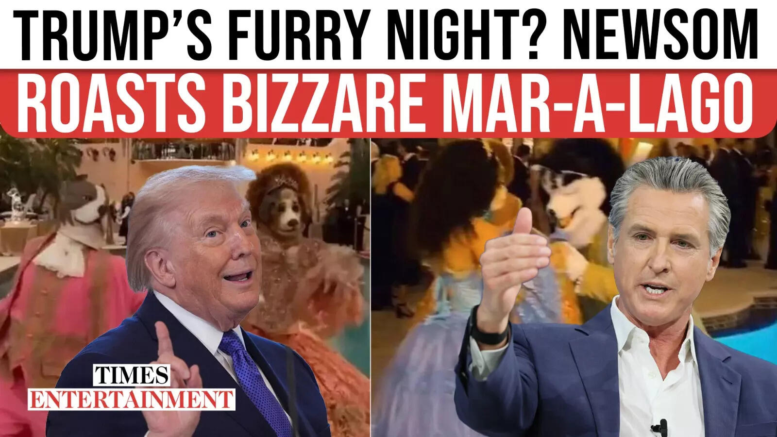 Gavin Newsom mocks 'furry party' at Trump's Mar-a-Lago after bizarre ...
