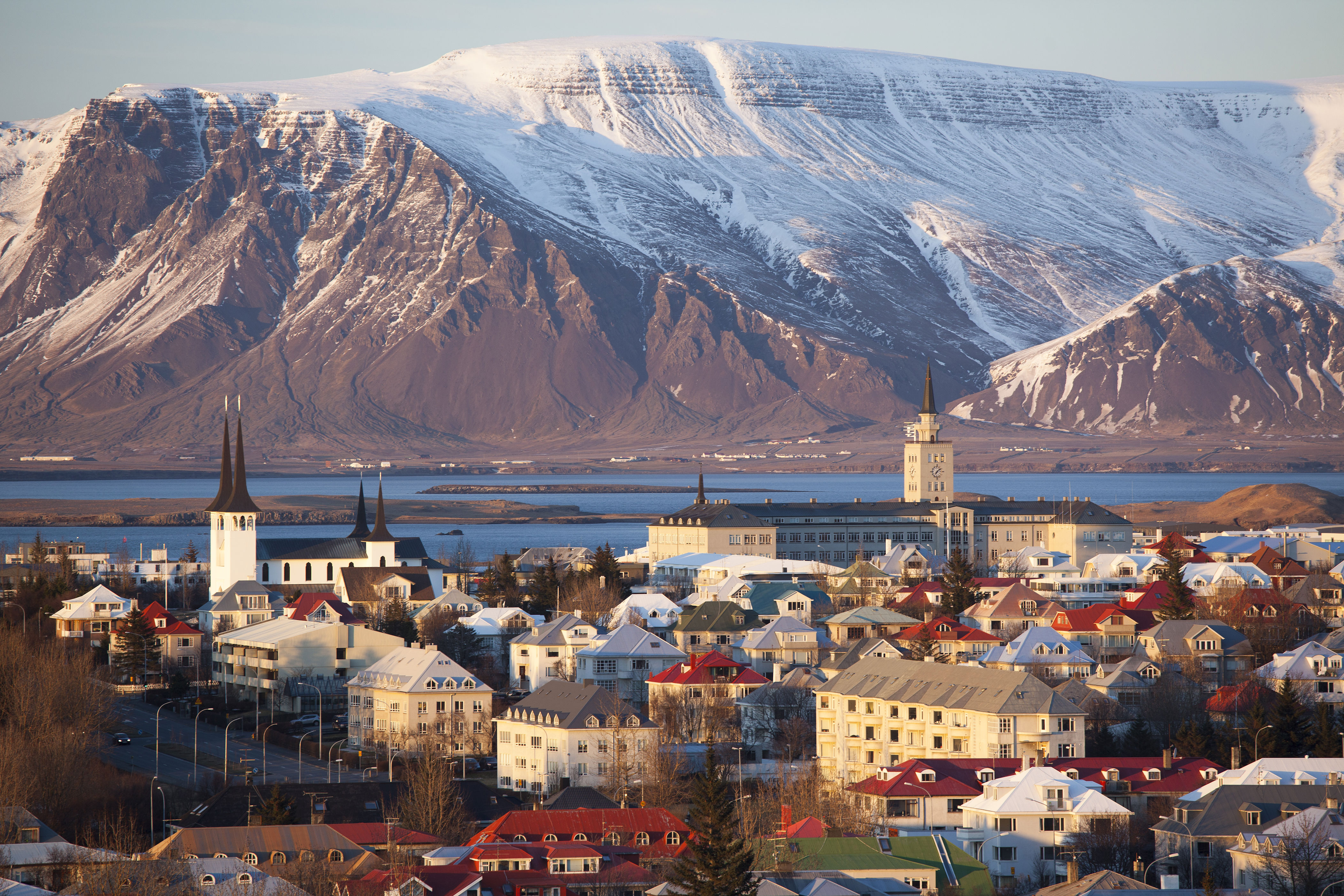 First Greenland, now Iceland? Annexation joke by Trump ally gets frosty ...