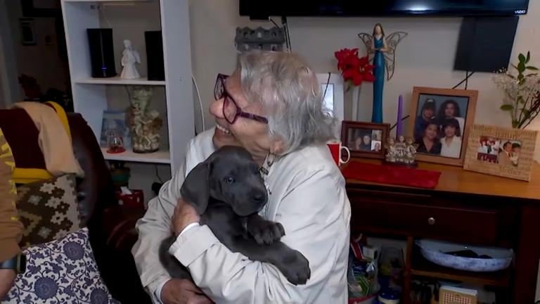 Burglar shot by homeowner when breaking into Valley Village home ...