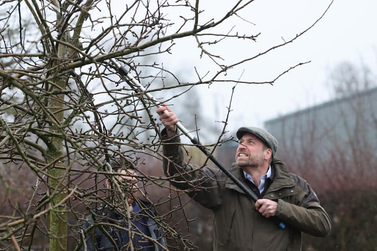 Prince William tries tree pruning as he gets stuck into farming chores