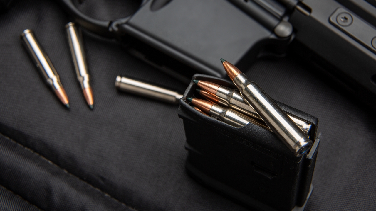 What caliber gives you the best chance on fast-moving predators like ...