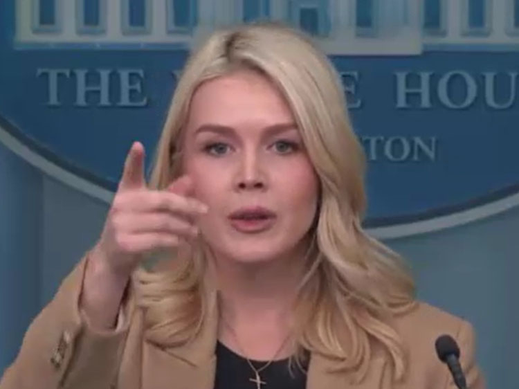 Leavitt blasts reporter over Renee Good question: "You're a left-wing ...