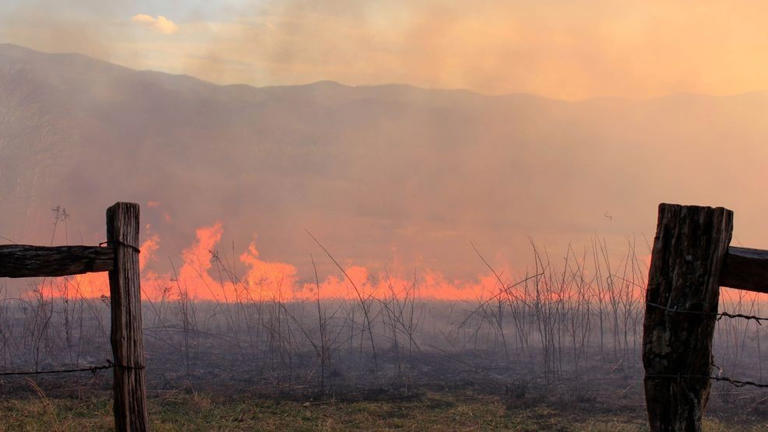 Great Smoky Mountains National Park's prescribed burn at Cades Cove ...