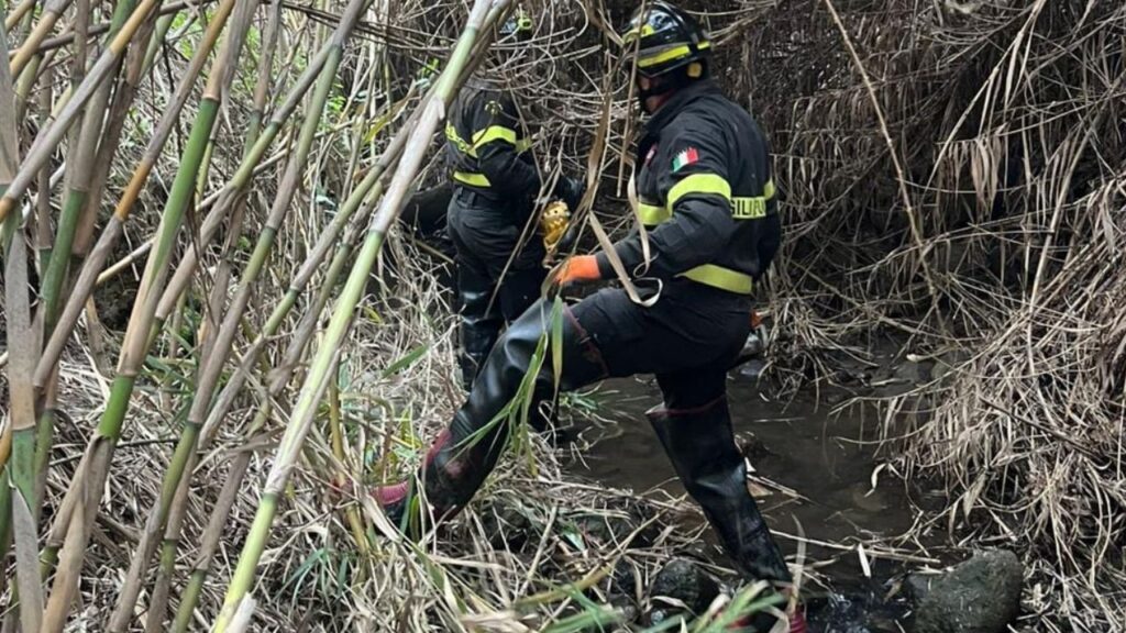 Cavallo finisce in un dirupo a Cerveteri: corsa contro il tempo per ...