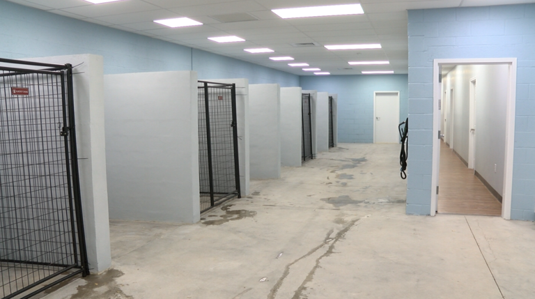 Unicoi County Animal Shelter rebuilt after Hurricane Helene