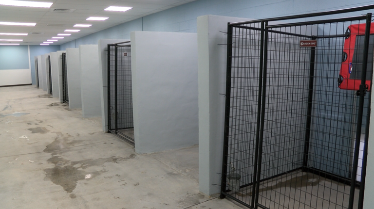 Unicoi County Animal Shelter rebuilt after Hurricane Helene