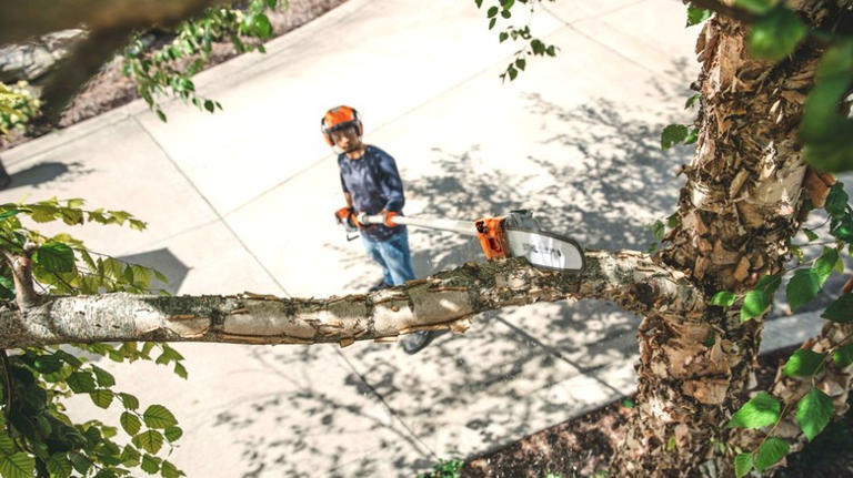 Are Stihl pole saws any good? Here's what owners say