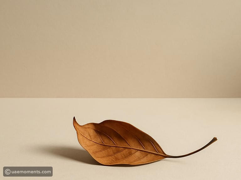 Daily affirmation for January 16, 2026 to kickstart your vibe