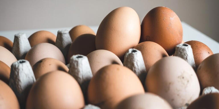 Cal-Maine legal settlement promises 2,000 dozen eggs to High Plains ...