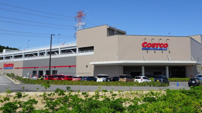 Costco finally races Sam's Club with new scan-and-go checkout