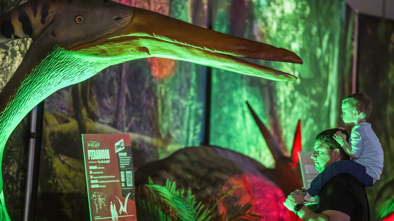 San Diego rodeo, dinosaur expo, MLK Day festival and more weekend events