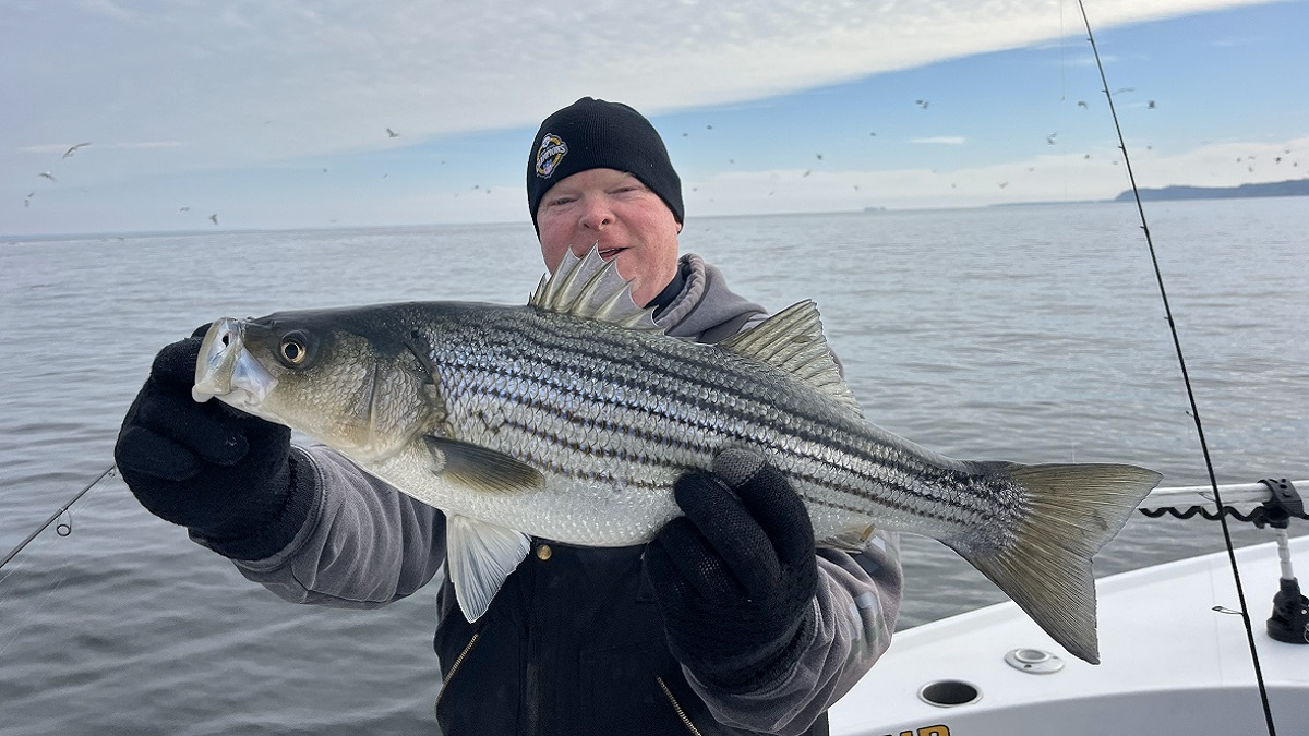 Striped bass seasons to face overhauls