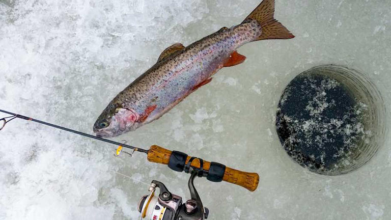 When walleyes won’t bite, trout will