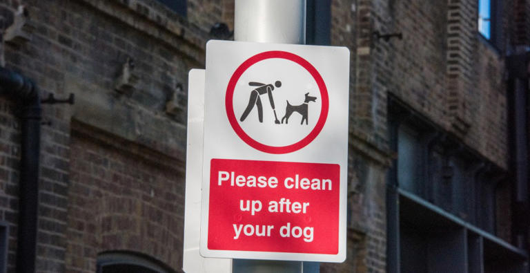 Apartment complex conducts DNA testing to see who keeps leaving dog ...