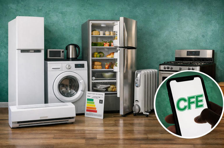 Pocos lo saben: la CFE te permite cambiar tus electrodomésticos viejos ...