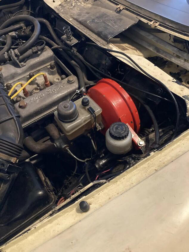 1982 Alfa Romeo Spider for sale