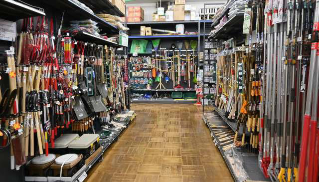 Video shows stunning scene after wild animal runs amok in store: 'Poor ...