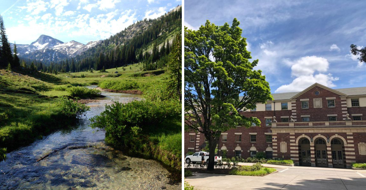 9 trips in Oregon where locals eat, explore, and relax
