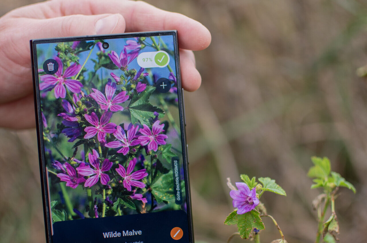Crowd sensing for the environment: Citizen science and plant apps map ...