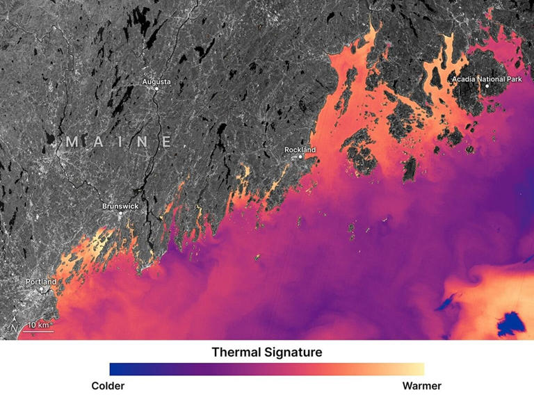 NASA data helps Maine oyster farmers choose where to grow