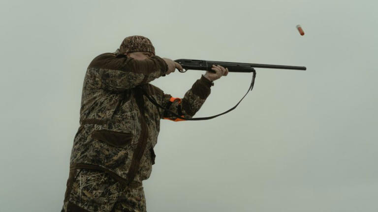 The idea that shotguns are perfect for home defense falls apart under ...