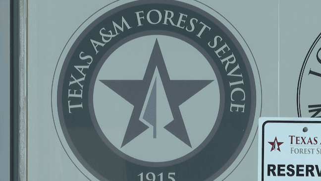 Gusty winds and dry conditions elevate wildfire risk in West Texas